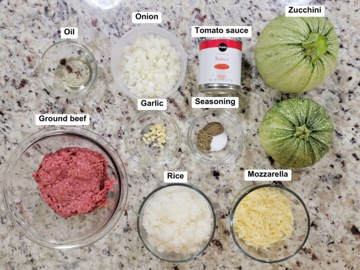 Stuffed Round Zucchini - Zucchini Zone